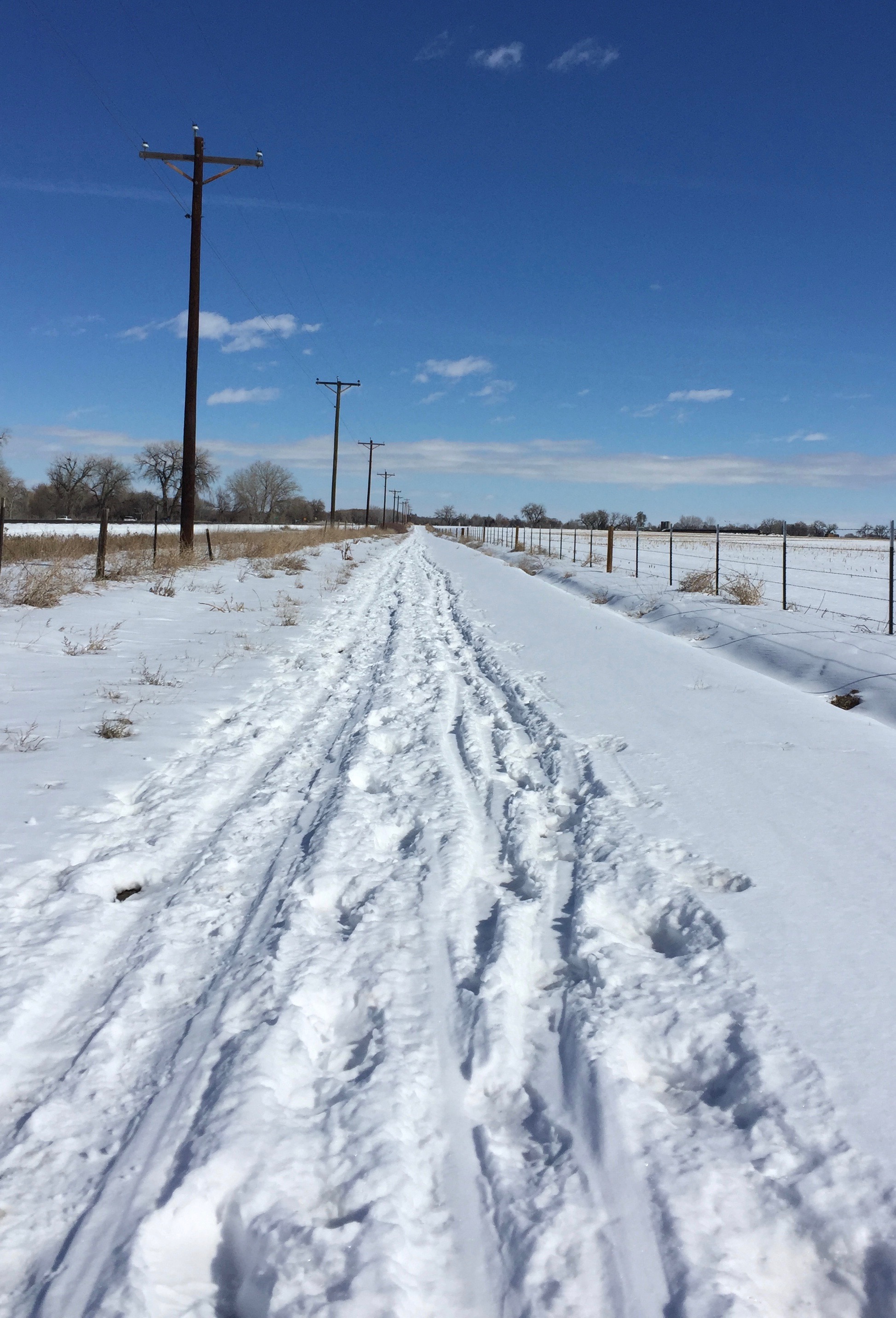 Super Run | A Runner's Story